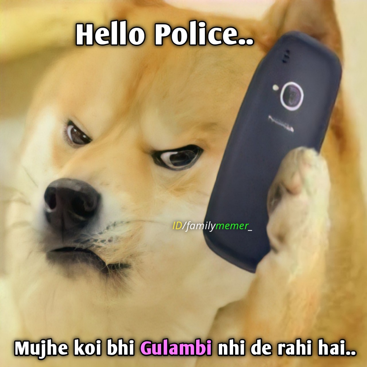 Hello This Is Dog Meme