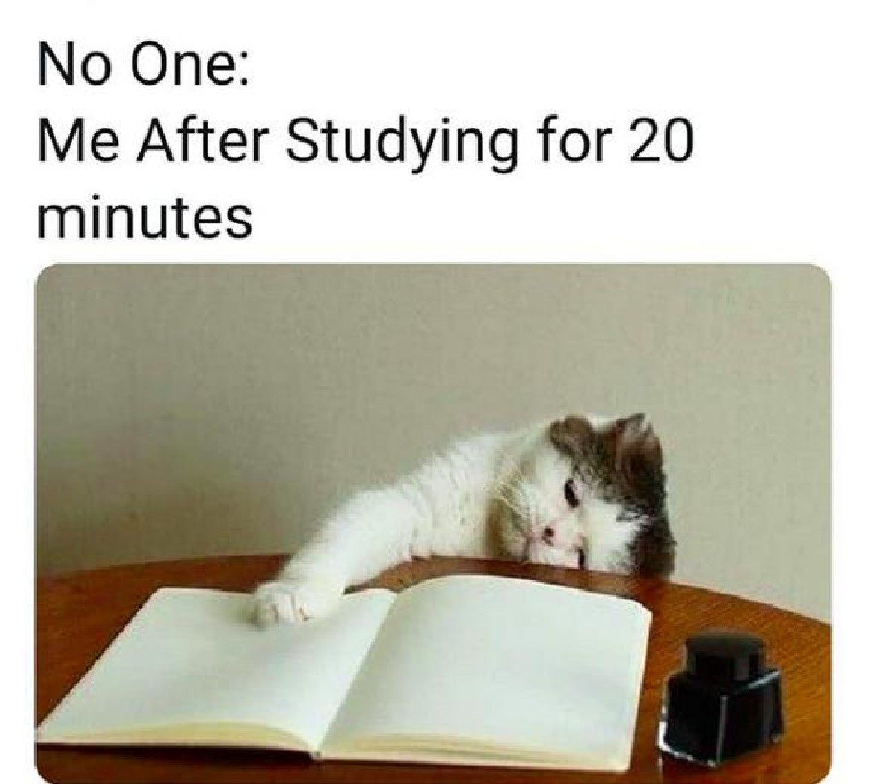 Studying Meme