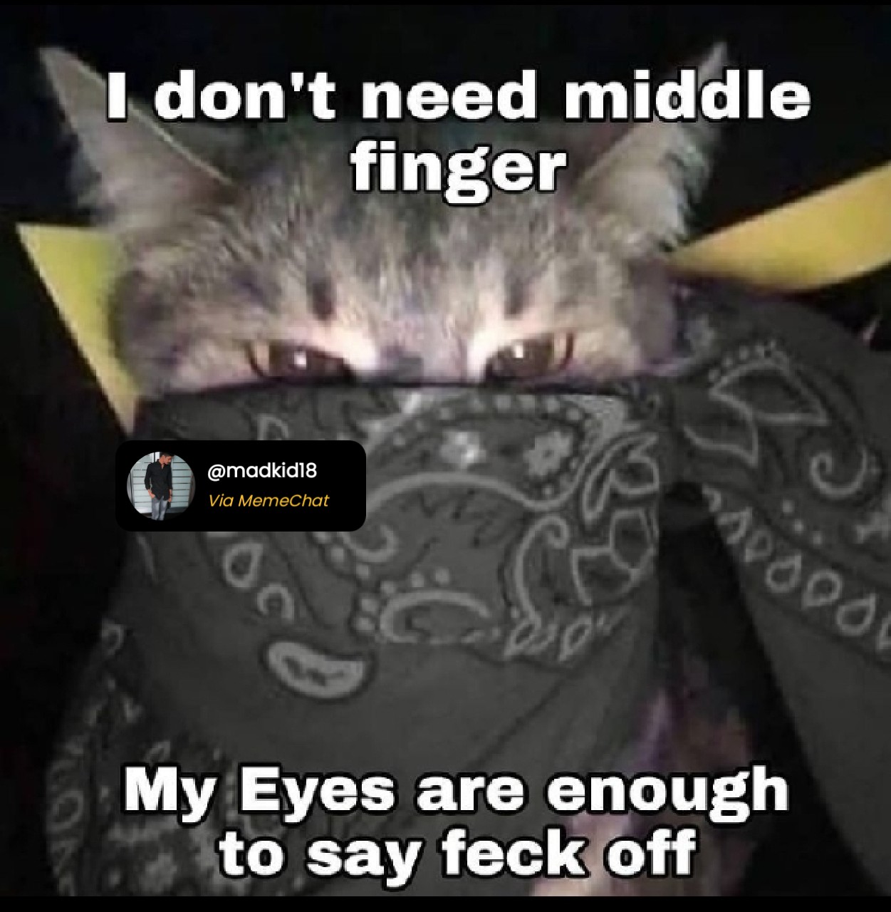 Middle Finger Meme Tumblr