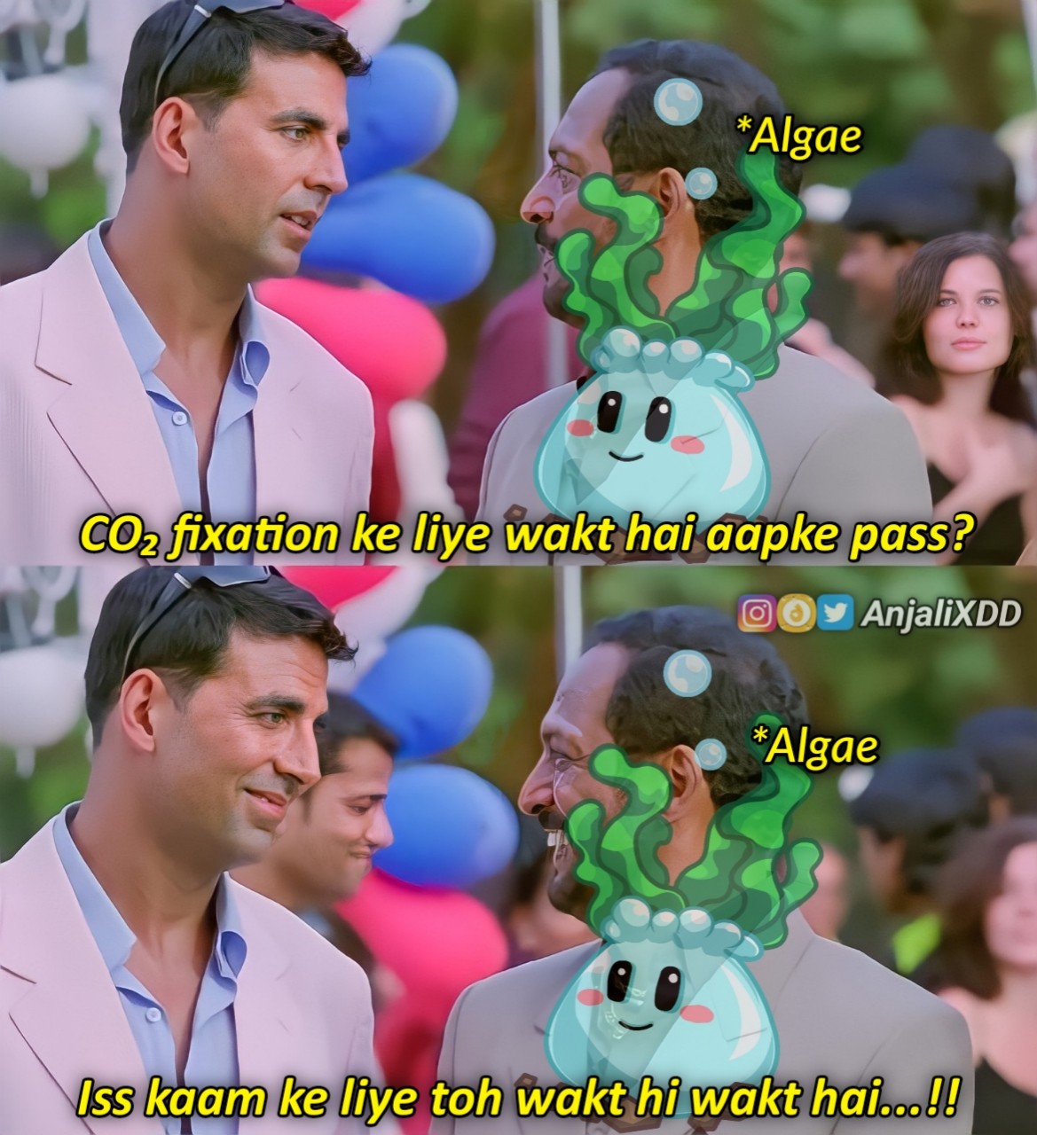 Photosynthesis Memes