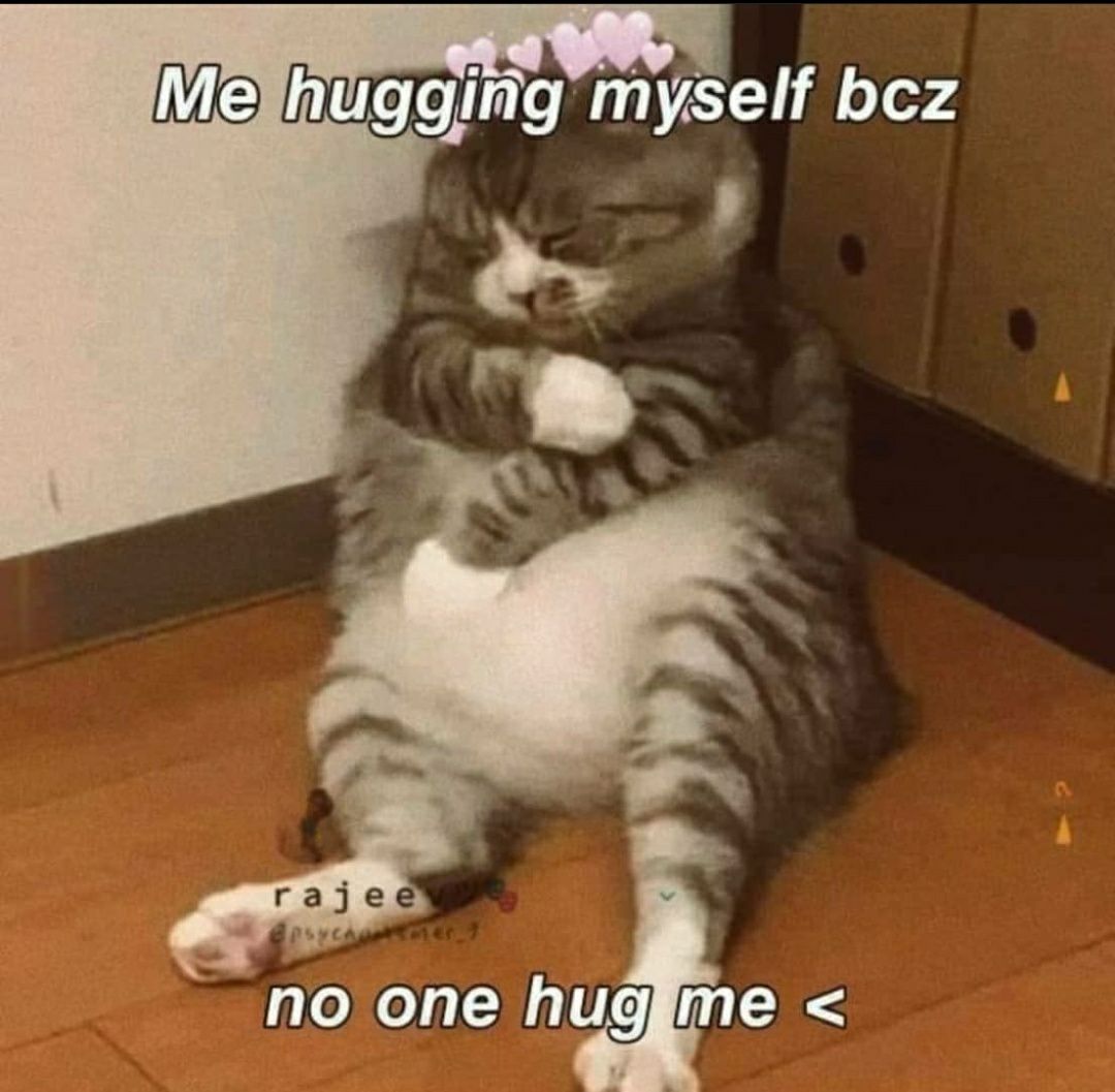 Hug Me Meme