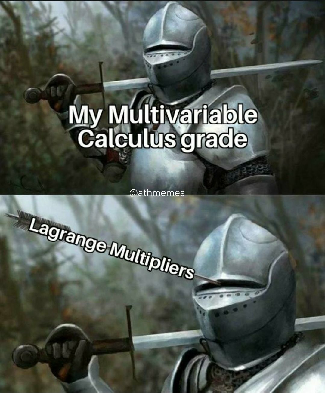 Multivariable Calculus Memes