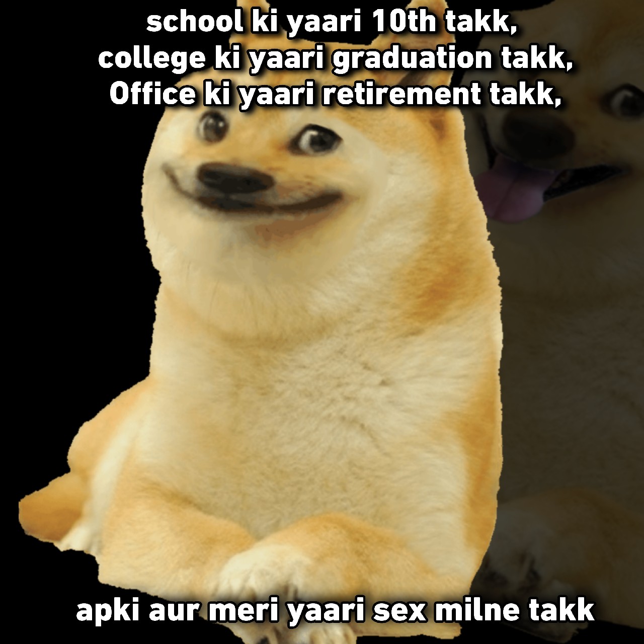 College Graduation Meme Dog