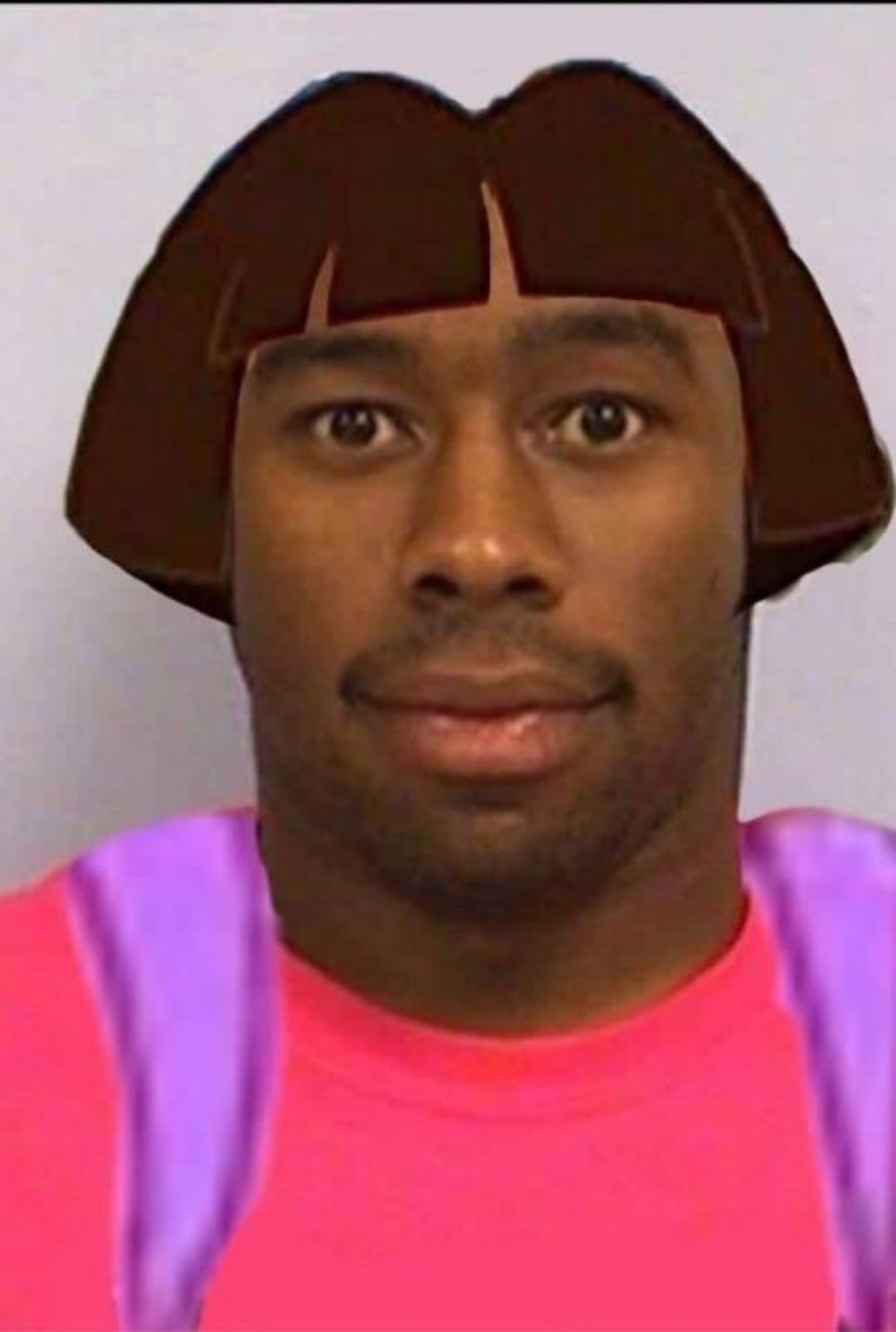 Meme Pictures Without Words