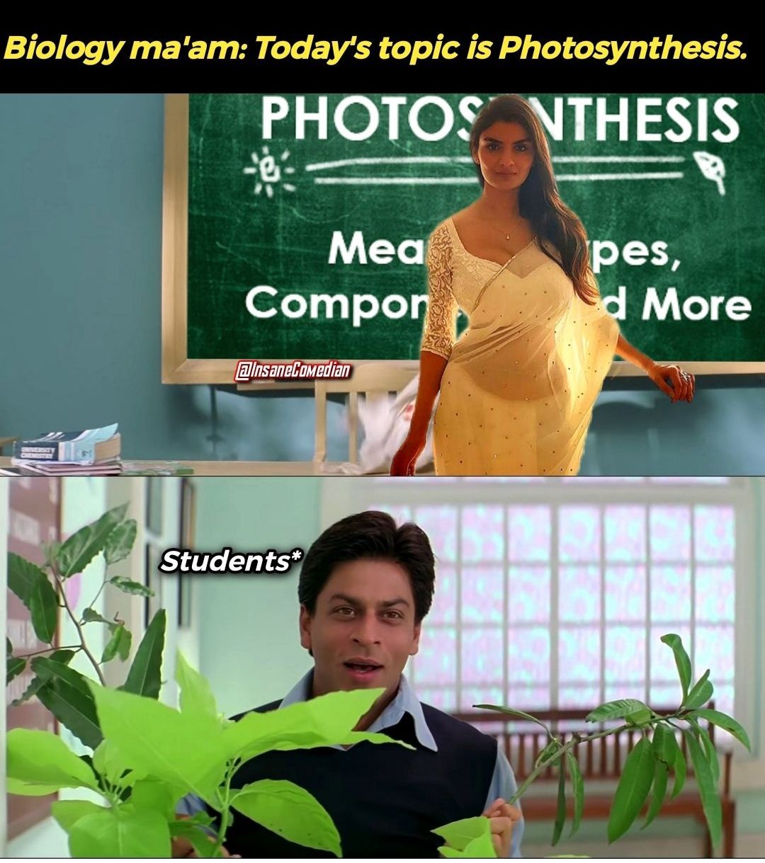 Photosynthesis Memes
