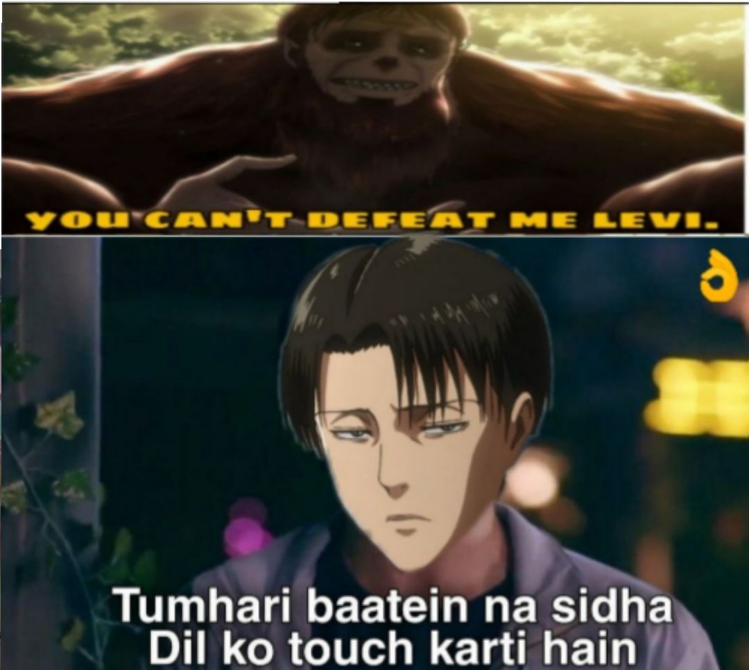 Attack On Titan Levi Memes