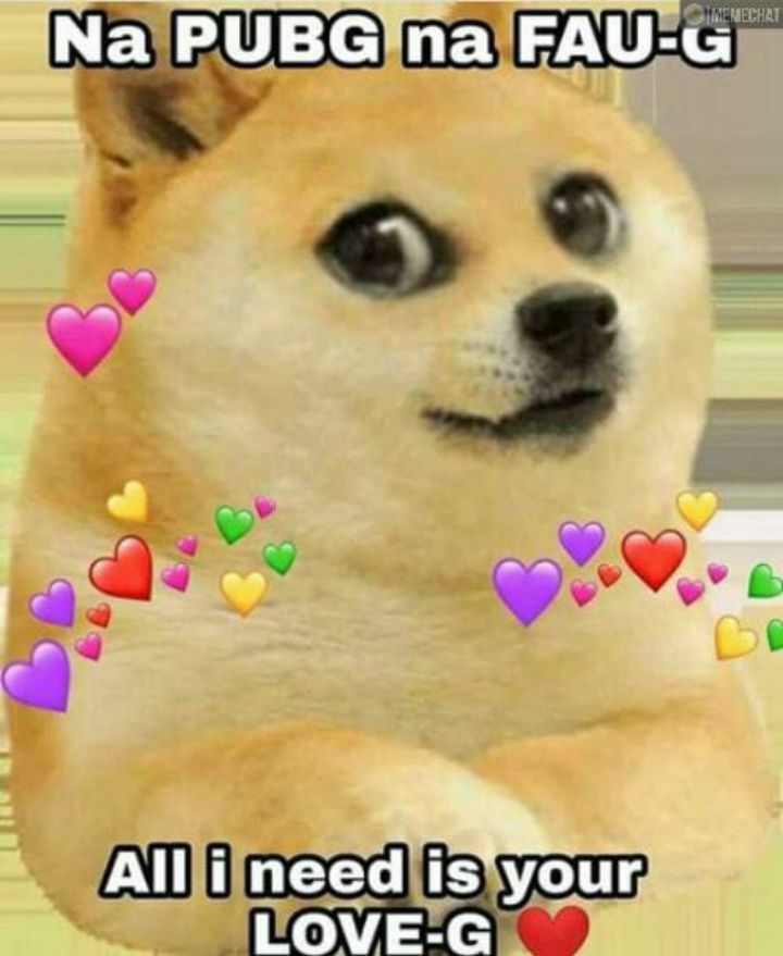 Whole Body Doge Meme