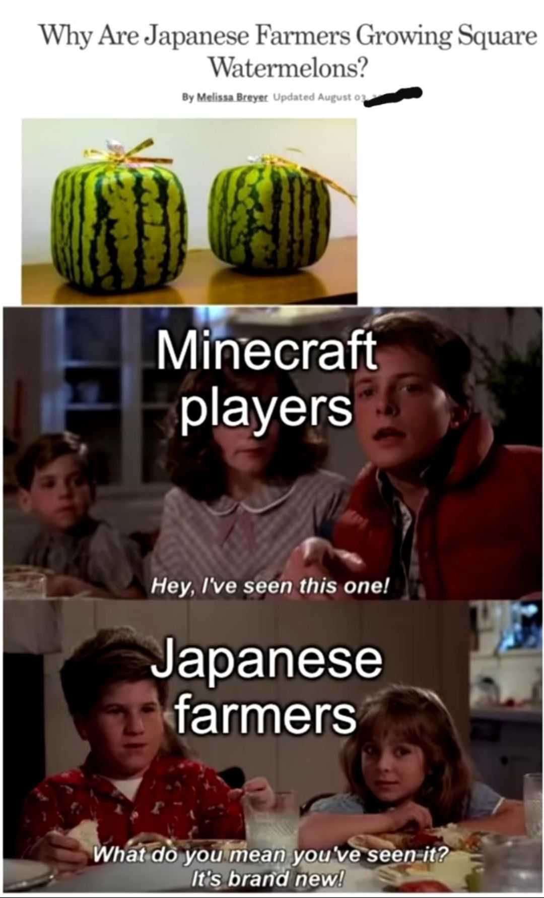 Square Watermelons Minecraft