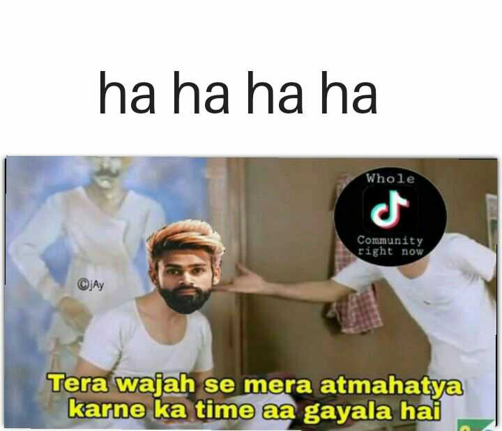 lavdasur