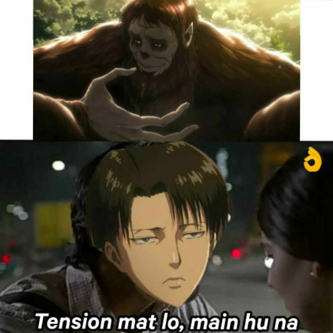 Levi Meme