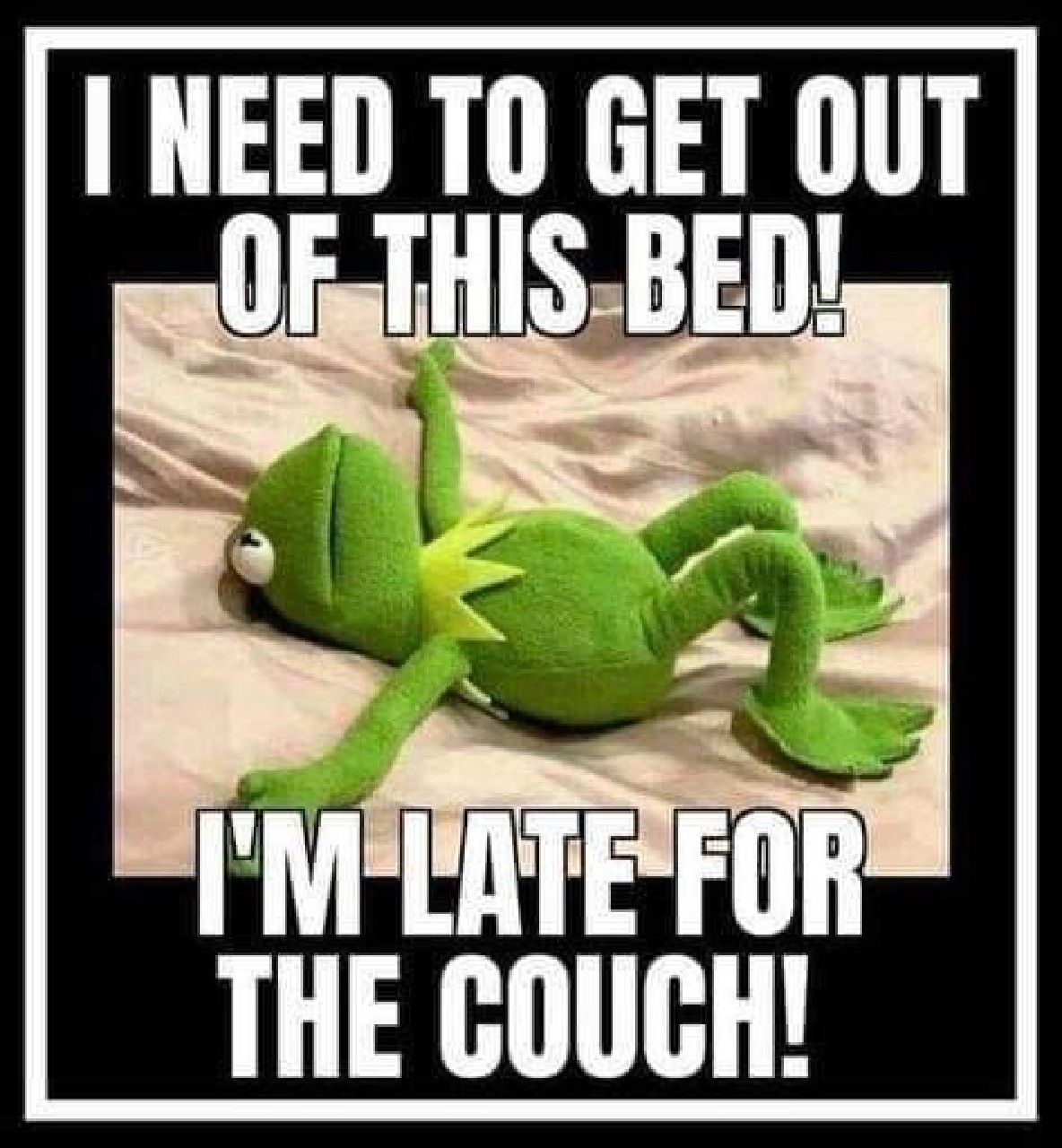 Kermit The Frog Meme On The Couch