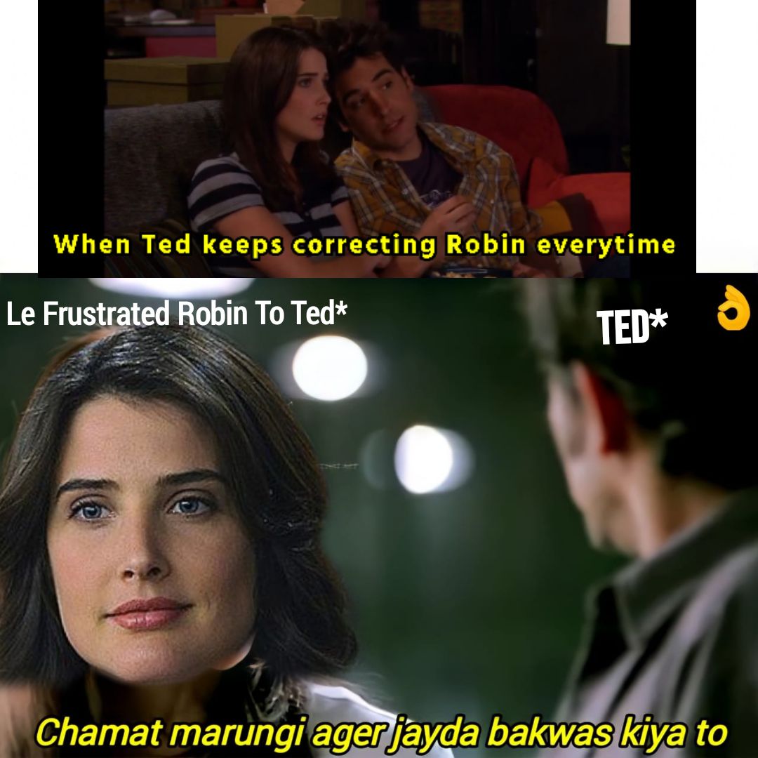 How I Met Your Mother Memes Robin