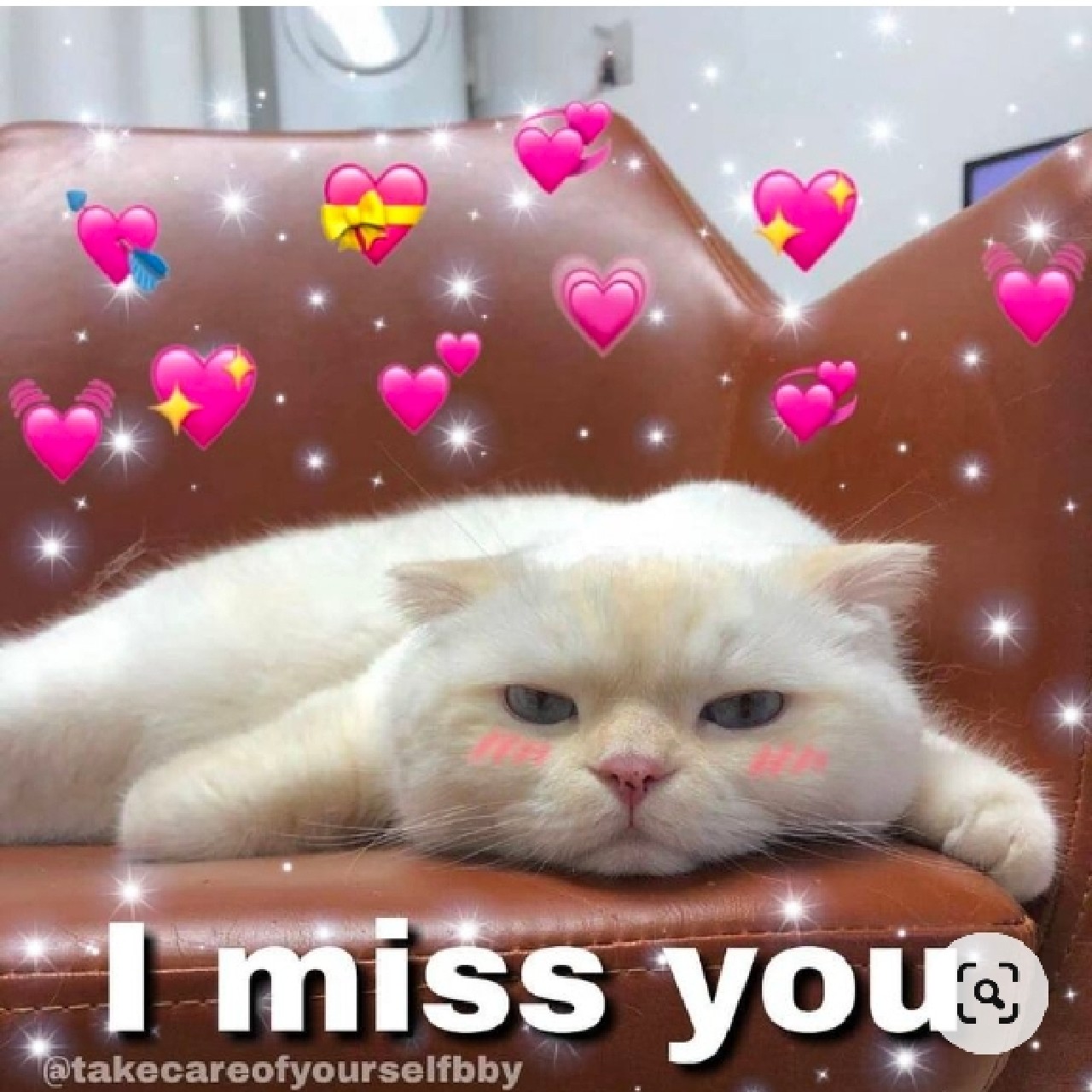 I Miss You Meme