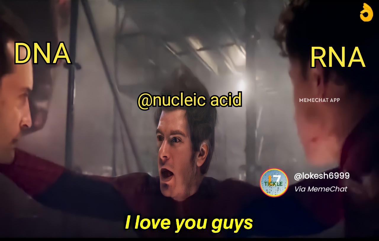 I Love You Guys Meme